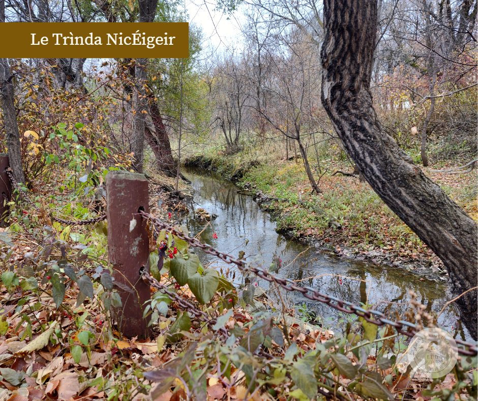 Sgéal na Gallaic – Lìonra h-Uisge Dhearg